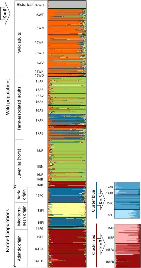 Hierarchical Population Structure Based On Structure Analyses Of Download Scientific Diagram