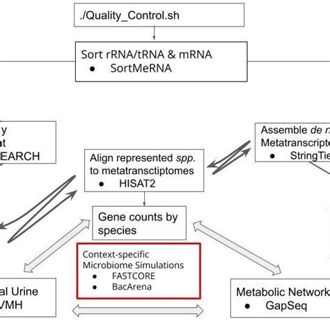 Overview Of Context Specific Microbiome Community Model Reconstruction Download Scientific