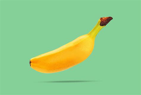The Basics Of Mutual Masturbation