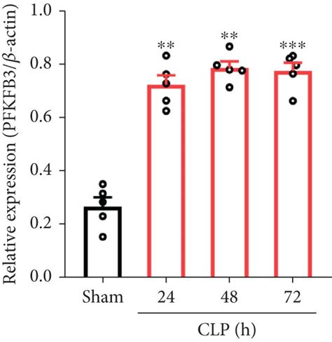 The Expression Of Pfkfb3 Was Elevated In The Intestinal Tissues Of Download Scientific Diagram