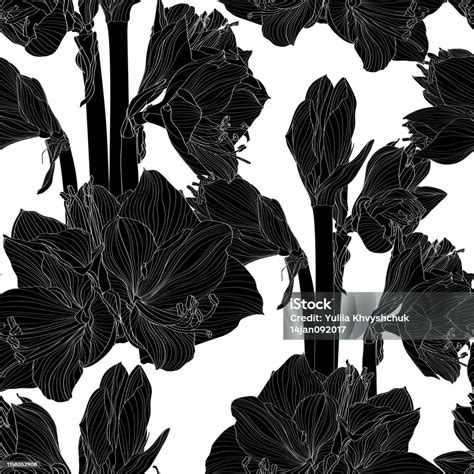 검은 백합 꽃 원활한 패턴의 손으로 그린 스케치 일러스트 꽃 흰색 배경 직물 섬유 디자인 결혼식을위한 배경 요소 0명에 대한