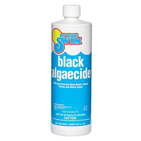 How To Get Rid Of Black Algae In Pool 9 Step Effective Process