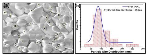 A Mapping In The Fe Sem Image And B Histogram Of Particle Grain Size Download Scientific