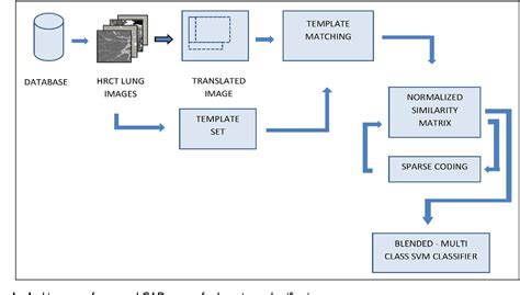 Figure 1 From Interstitial Lung Disease Detection Using Template