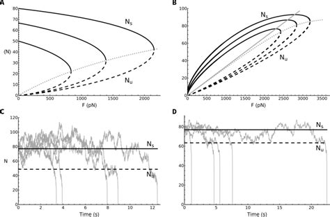 Bifurcation Analysis Of The Deterministic Bond Cluster Models Reveals Download Scientific