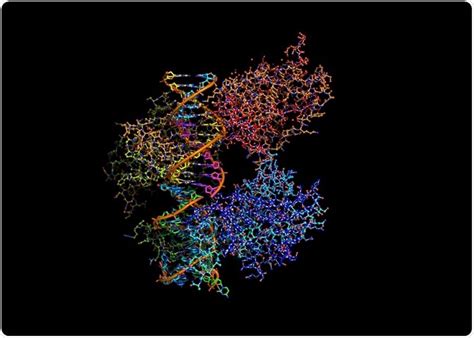 Affinity Chromatography Vs Protein A G Purification