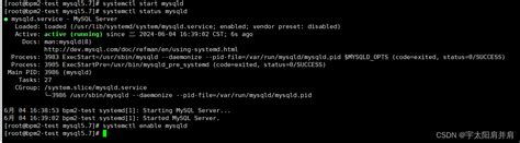 linux安装mysql教程【带图文命令巨详细】 csdn博客