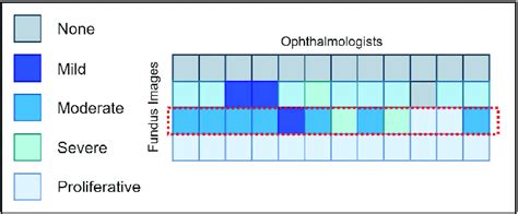 Inter Grader Inconsistencies Illustrated In The Highlighted Red Area