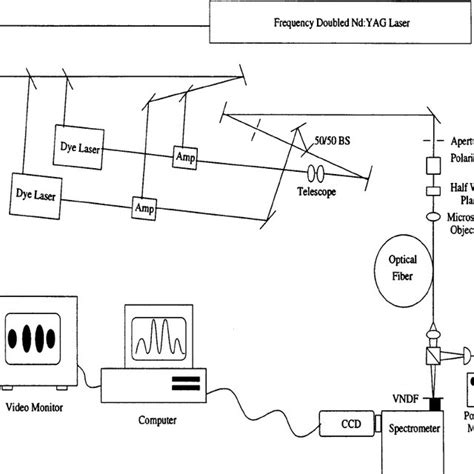 Experimental Setup Used To Investigate Four Wave Mixing In An Optical Download Scientific
