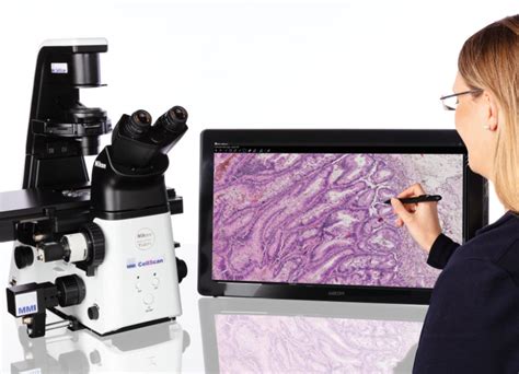 Cellpicker Automated Cell Selection Tool