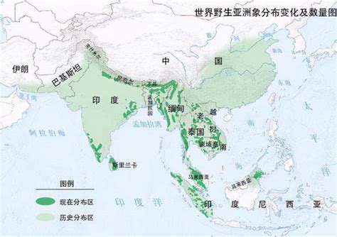 云南15头野生亚洲象罕见北迁，是生态变好，还是全球变暖的征兆？大象