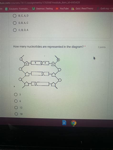 Nucleotides Diagram