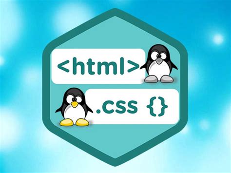 Lộ trình học HTML và CSS đơn giản nhưng mang lại hiệu quả bất ngờ Html Css