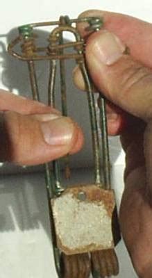 Macabee Gopher Trap How To Set And Use Them