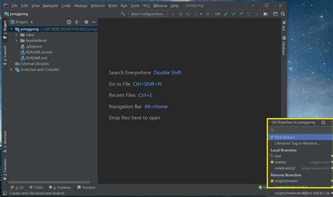 使用idea，操作git创建分支回滚版本，合并分支 全流程配图 Idea分支星星 Csdn博客
