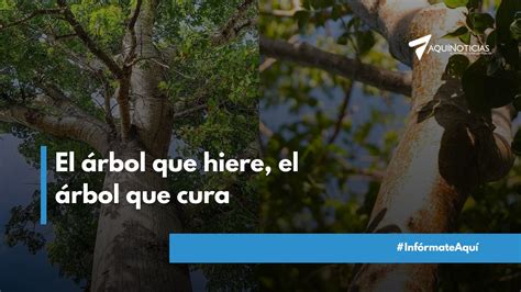 Chechén Y Chacá El Amor Que Florece En La Selva