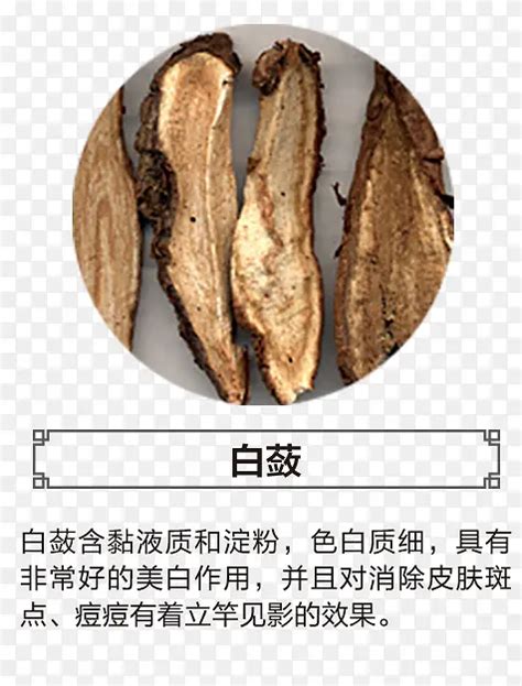 白蔹PNG图片素材下载 图片编号9312614 PNG素材网