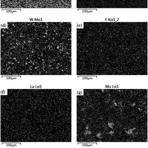 Microstructure And Element Distribution Maps Of Ca Download