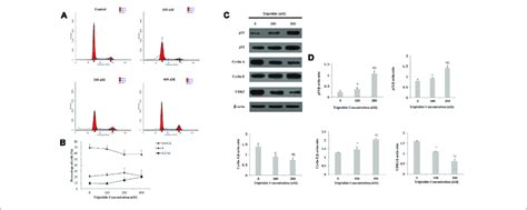 Effect Of Triptolide On Cell Cycle Distribution In Heparg Cells