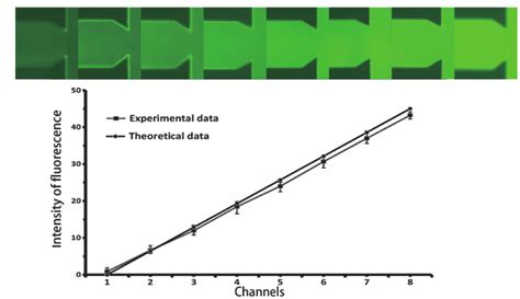 Concentration Gradient Generator Cgg Performance Validation A