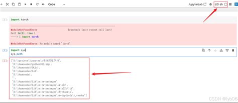 关于 Jupyter 找不到虚拟环境中安装好的包的问题在conda里面已经装了python的包但是在jupyter里面却显示找不到 Csdn博客