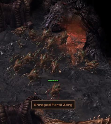 Feral Zerg Starcraft Wiki Fandom
