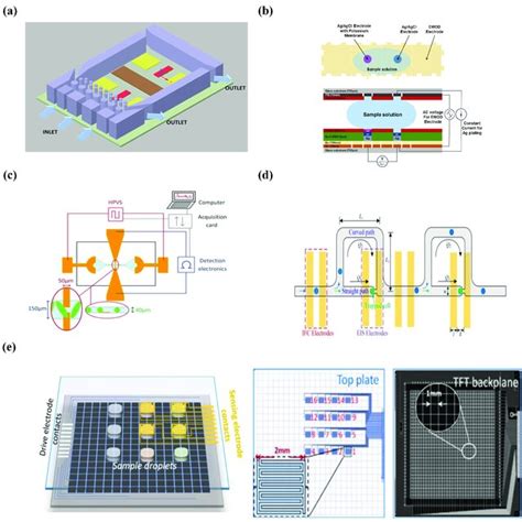 Microfluidics Based Potentiometry And Conductometry Detection Systems