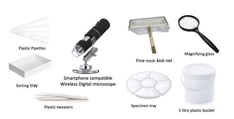 Kick Sampling How To Unlock The Secrets Of River Insects