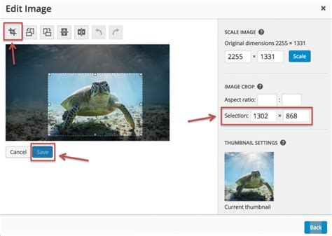 easily scale and crop images in wordpress mayecreate design
