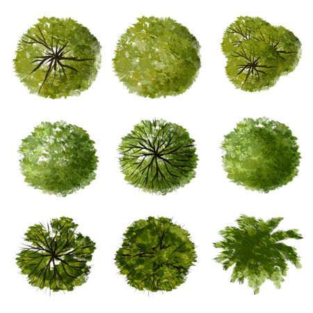 Plants Top View Stock Photos And Images RF Tree Plan Png Plan Tree Tree Plan
