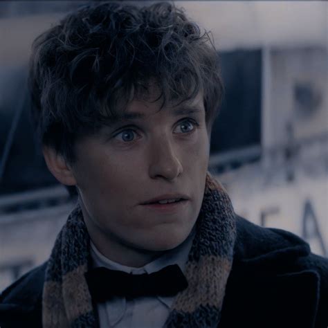 Newt Scamander Newt Scamander Fantastic Beasts Newt Scamander Aesthetic