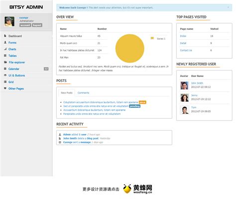 bitsy管理后台模板界面设计欣赏 大美工dameigong cn