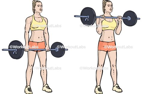 Reverse Curls Benefits Muscles Worked And More Inspire 48 Off