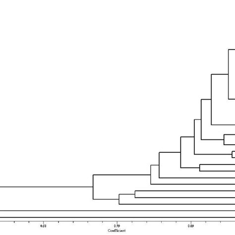Unweighted Pair Group Method Arithmetic Average Upgma Dendrogram