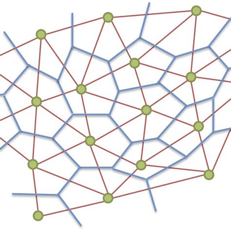 Scheme Of The 3 Dimensional Cell Simulation Space Filled By Voronoi Download Scientific Diagram