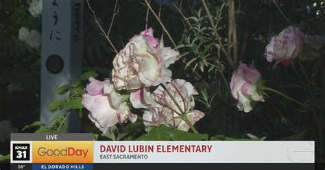 David Lubin Elementary School Good Day Sacramento