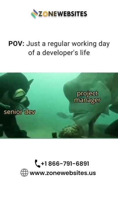 just a regular working day of a developer s life developermemes managermemes codingmemes