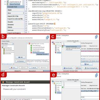 Test Case Execution And Assertion Management Download Scientific Diagram