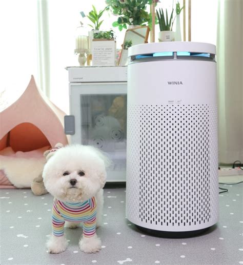 위니아 공기청정기 퓨어플렉스 펫 기분좋은 언박싱 네이버 블로그
