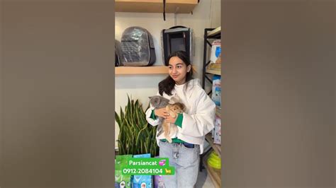 دختر خانم عاشق گربه ها اولی ی گربه انتخاب کردن وبعد شد دو تا گربه و