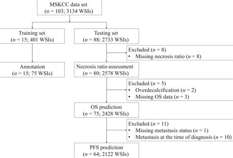 Deep Learningbased Objective And Reproducible Osteosarcoma Chemotherapy Response Assessment And