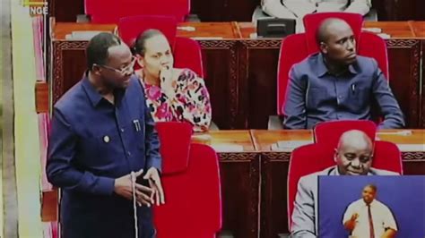 Spika Tulia Awabana Mawaziri Ujenzi Wa Bwawa La Nyerere Youtube