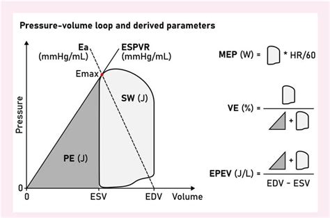 Figure From Non Invasive Left Ventricular Pressure Volume Loops From Cardiovascular Magnetic