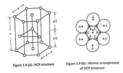 Draw The Unit Cell Of Hcp Structure And Work Out The No Of Atoms Per Unit Cell