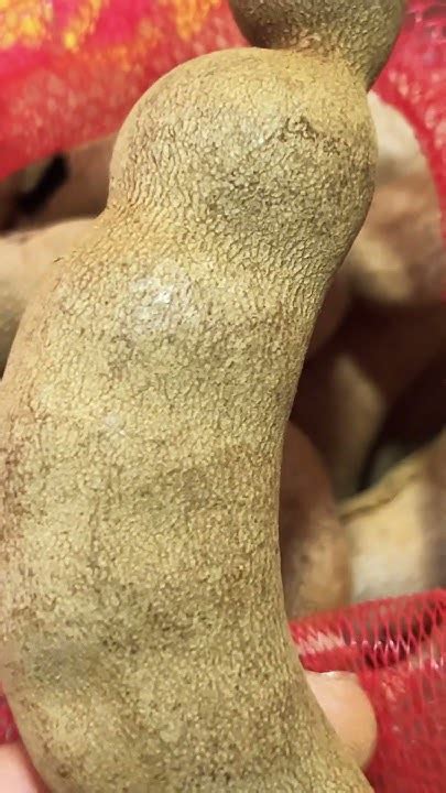 Shorts 1734 Me Thái Youtube