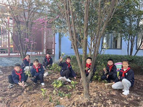乘春风十里 种绿色梦想 斯村小学开展植树节系列活动