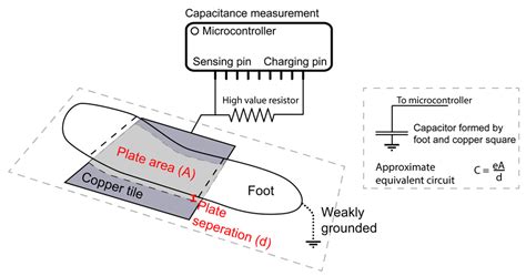 Identity And Gender Recognition Using A Capacitive Sensing Floor And Neural Networks