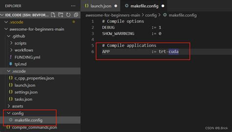 vscodeCompiler configuration compilerconfiguration CSDN博客