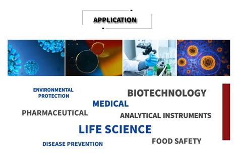 Customized Container Closure Integrity Tester BIT L01 Suppliers Manufacturers Laboratory