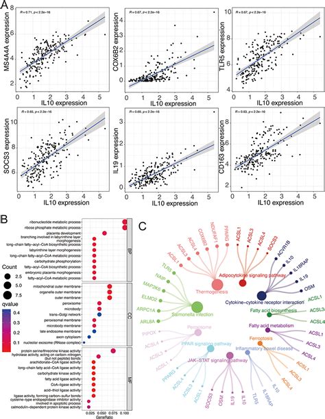 A Multi Machine Learning Consensus Model Based On Clinical Features Re Jir